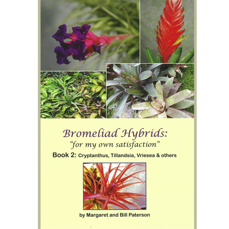 Bromeliad Hybrids: For my own Satisfaction Book 2 Cryptanthus, and ...